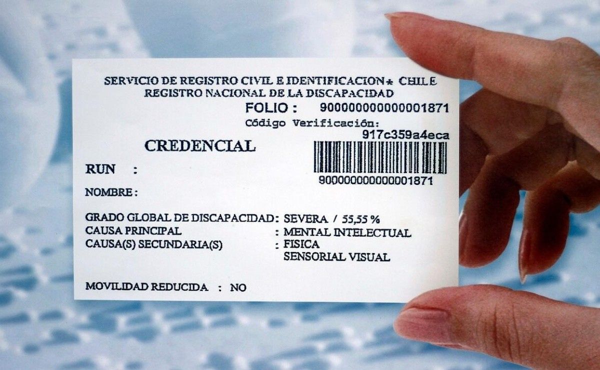 ¿Cómo sacar el padrón de un auto? Conoce AQUÍ cómo realizar el trámite ...